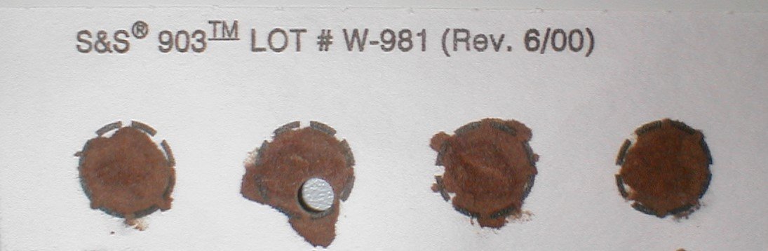 Dried Blood Spot Testing - Part 1 - Capitainer